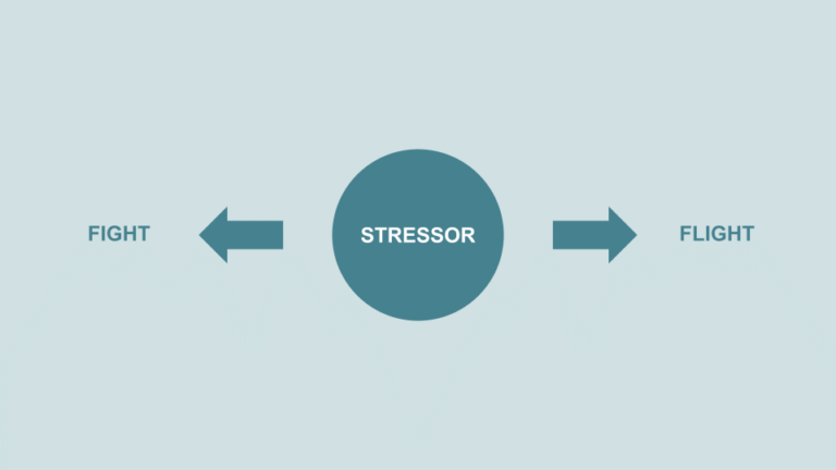 The Fight or Flight Response: Your Body’s Stress Reaction